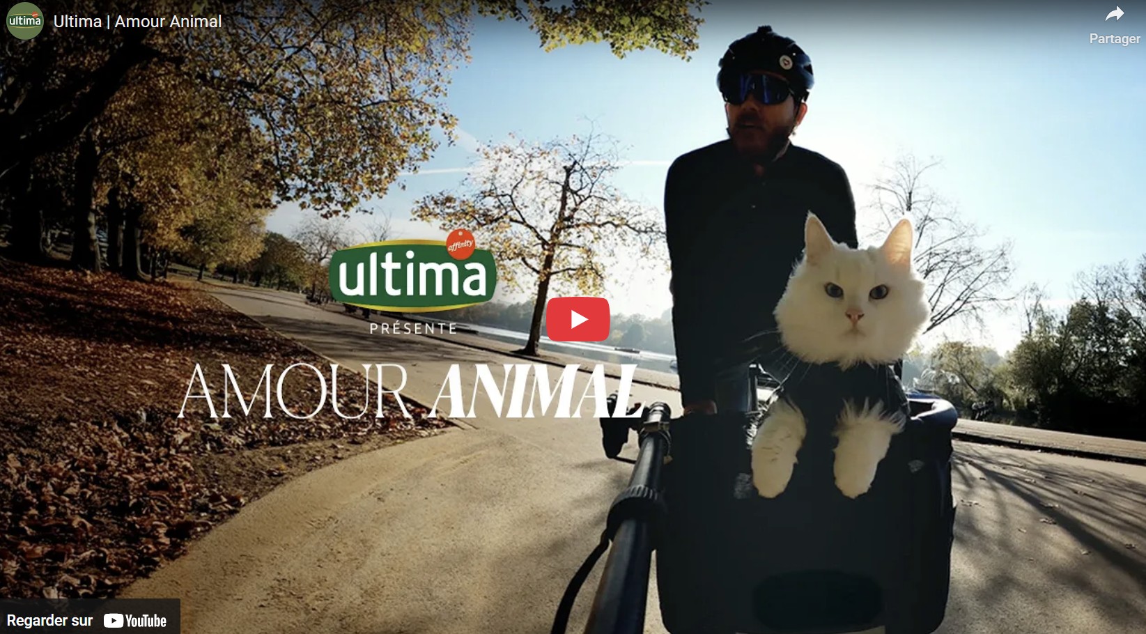 Affinity Ultima amour universel - Locali